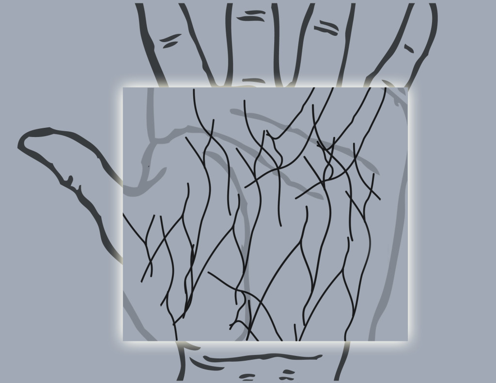 Iris recognition Biometrics Vs Palm Vein Biometrics