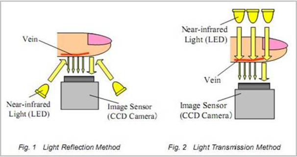 Fingerprint vs vascular biometrics – What are the differences