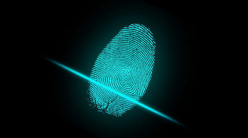 10 Massive Biometric Technology Examples That Revamped the World