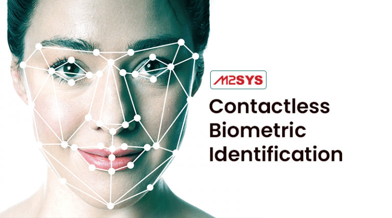 What Do We Know About Contactless Biometric Identification?